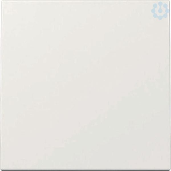 Gira Wippe System 55 reinweiß glänzend 329603 - hiplo24.de