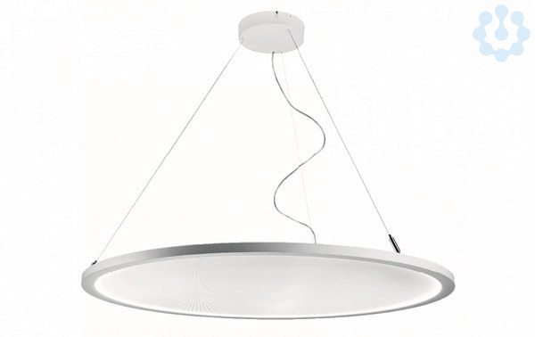 SG SENSE MAXI Pendel 4000K DALI 212193 - hiplo24.de